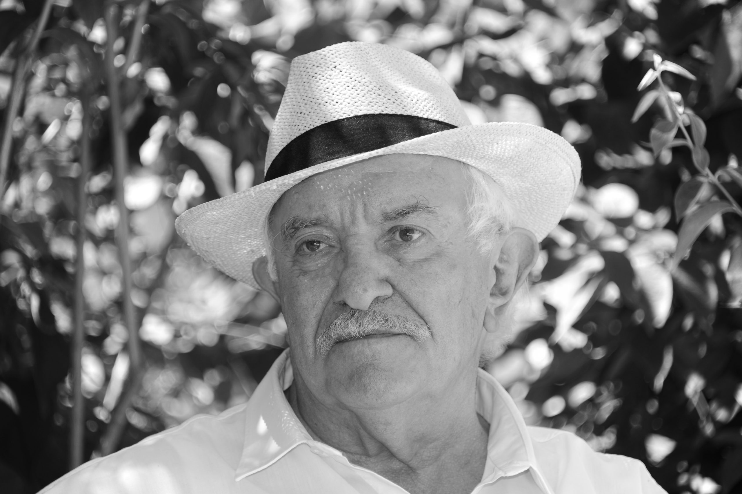 Giuseppe Galasso, lo storico che salvò il paesaggio - Biblion edizioni